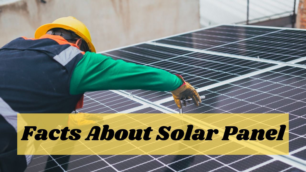 10 Facts About Solar Panel Only a Handful of People Know