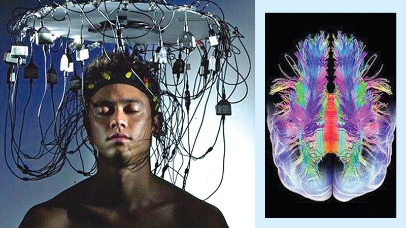 Japan's Revolutionary Dream-Reading Machine - Ultimate Guide